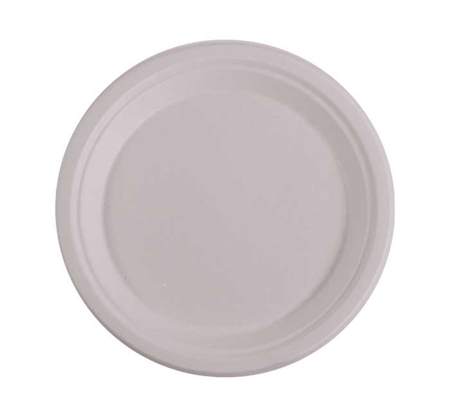 Disposable Plates